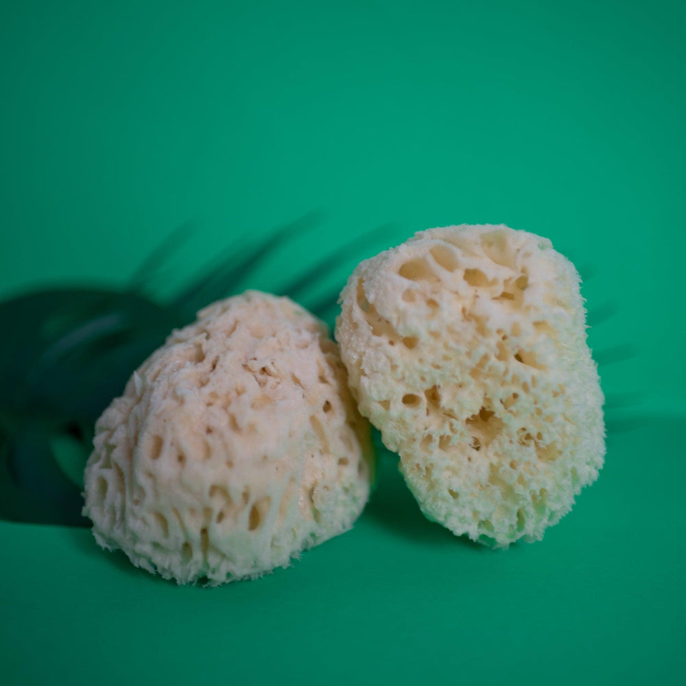 Natural Sea Sponge | Gentle, Plastic-Free Cleansing Alternative